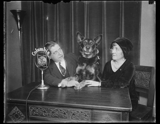 Schall, Thomas D. (1878–1935) | MNopedia